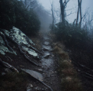 Exploring the Murders and Disappearances on the Appalachian Trail ...